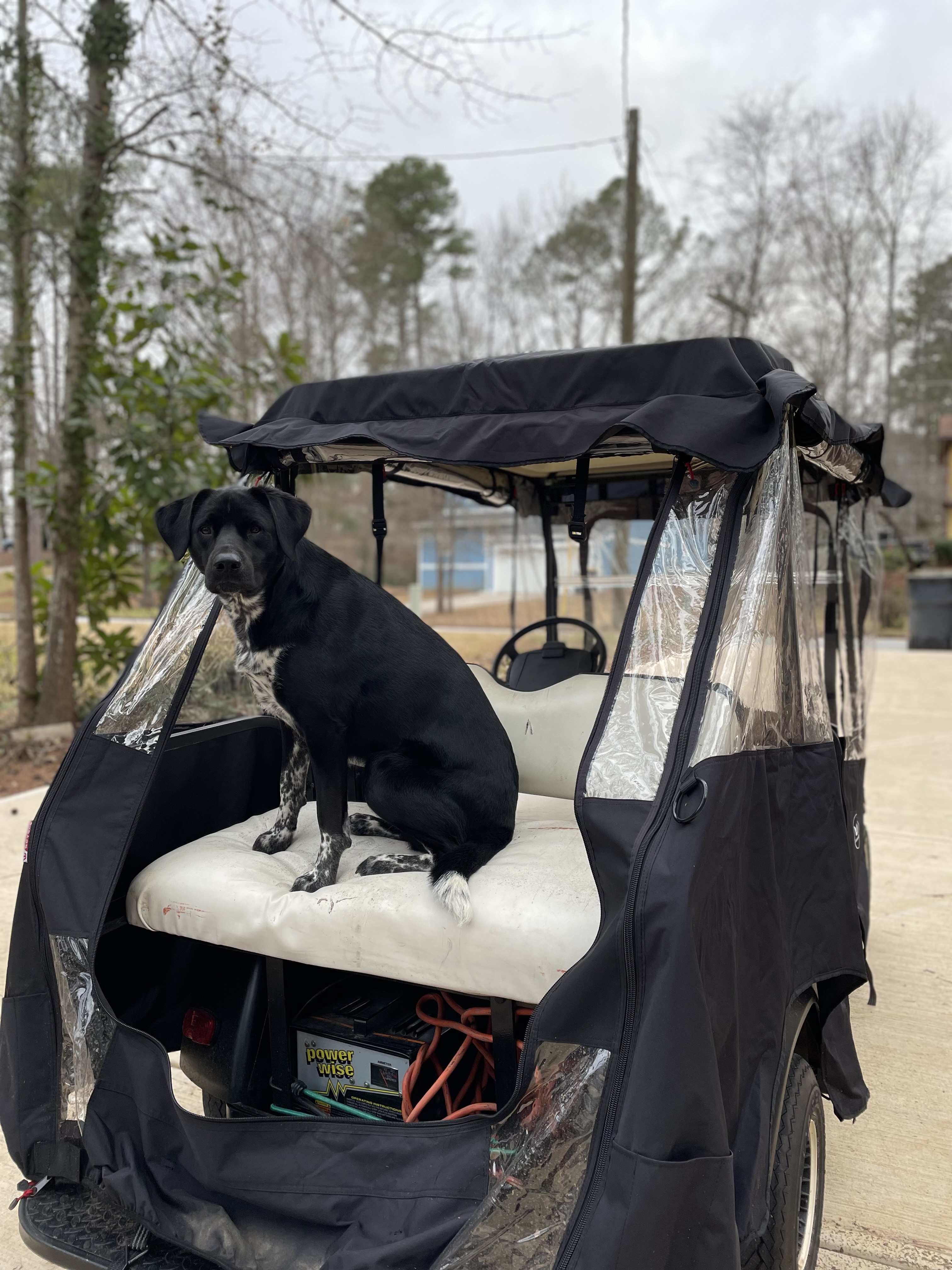Universal Heavy Duty Golf Cart Enclosure | National Golf Cart Covers